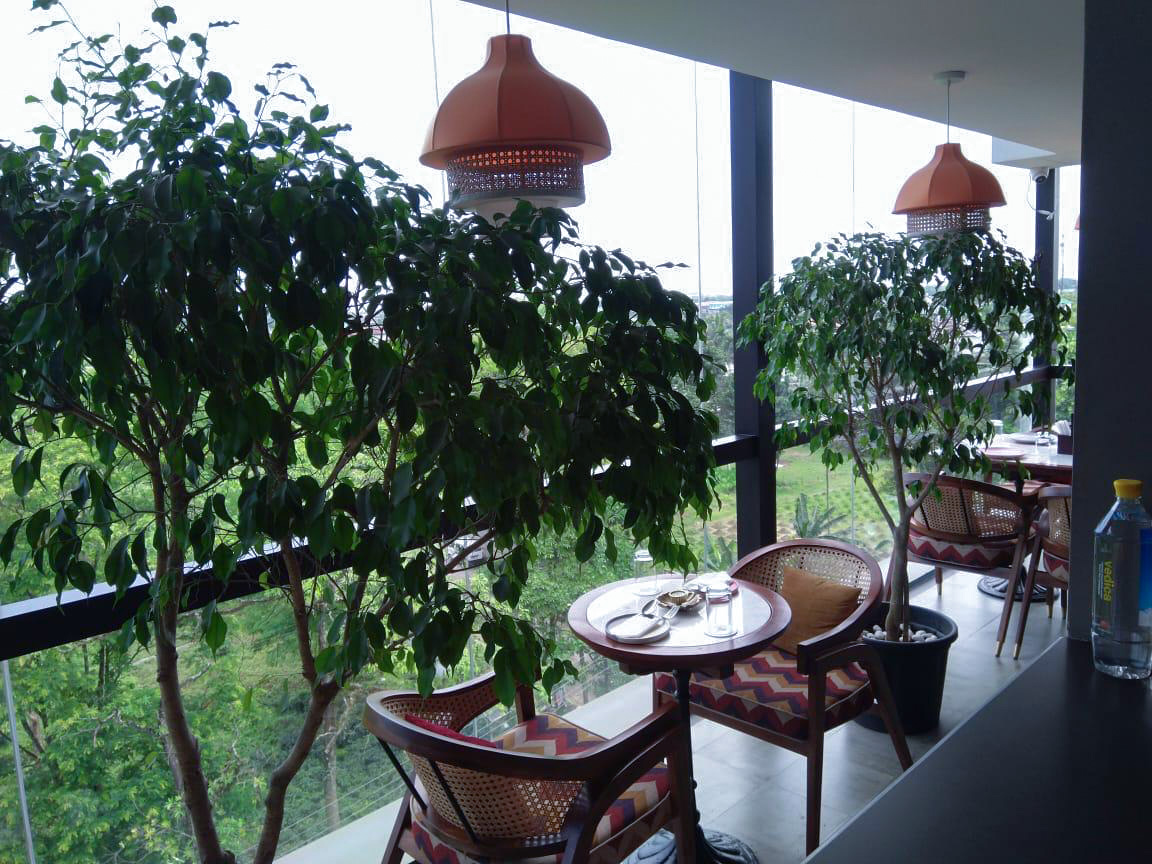 Windsong Cafe Dibrugarh - Best of Exports