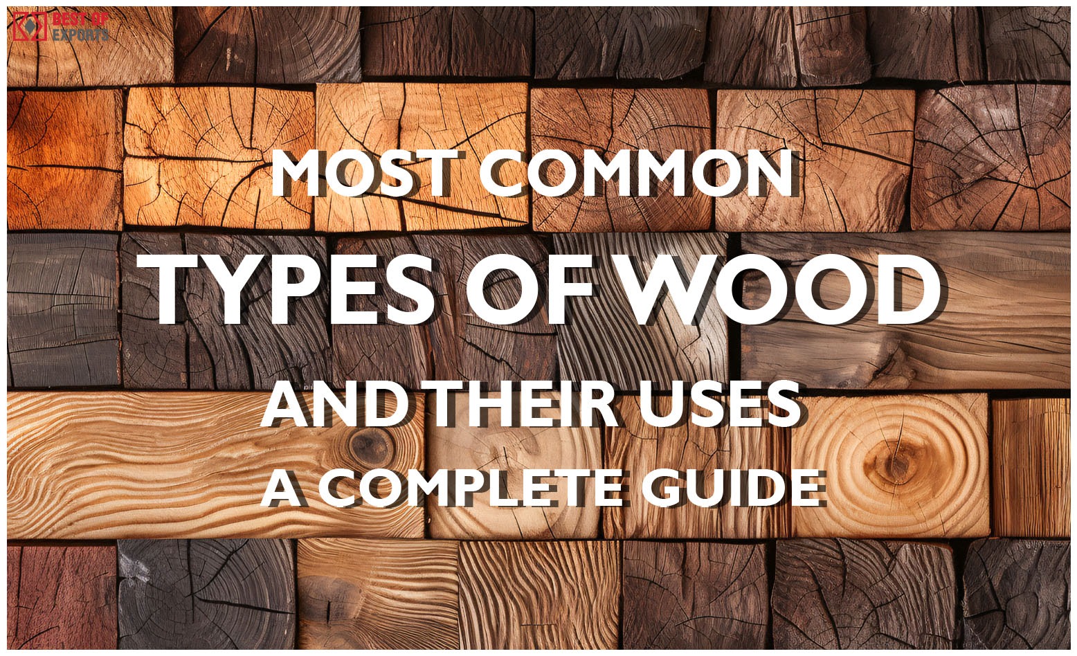 Most Common Types of Wood and Their Uses – Complete Guide