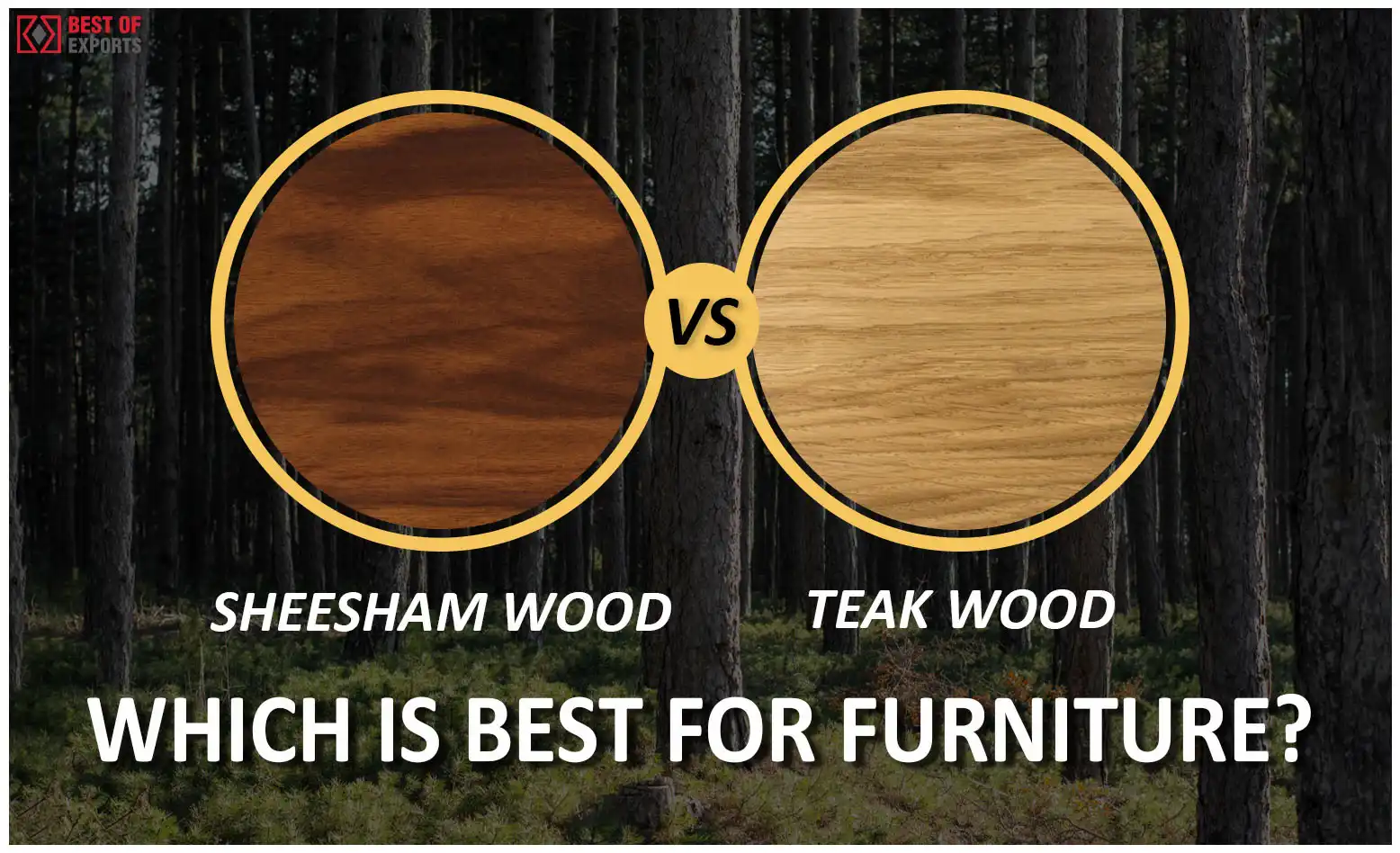 Sheesham Wood vs Teak Wood: Which Is Best for Furniture?